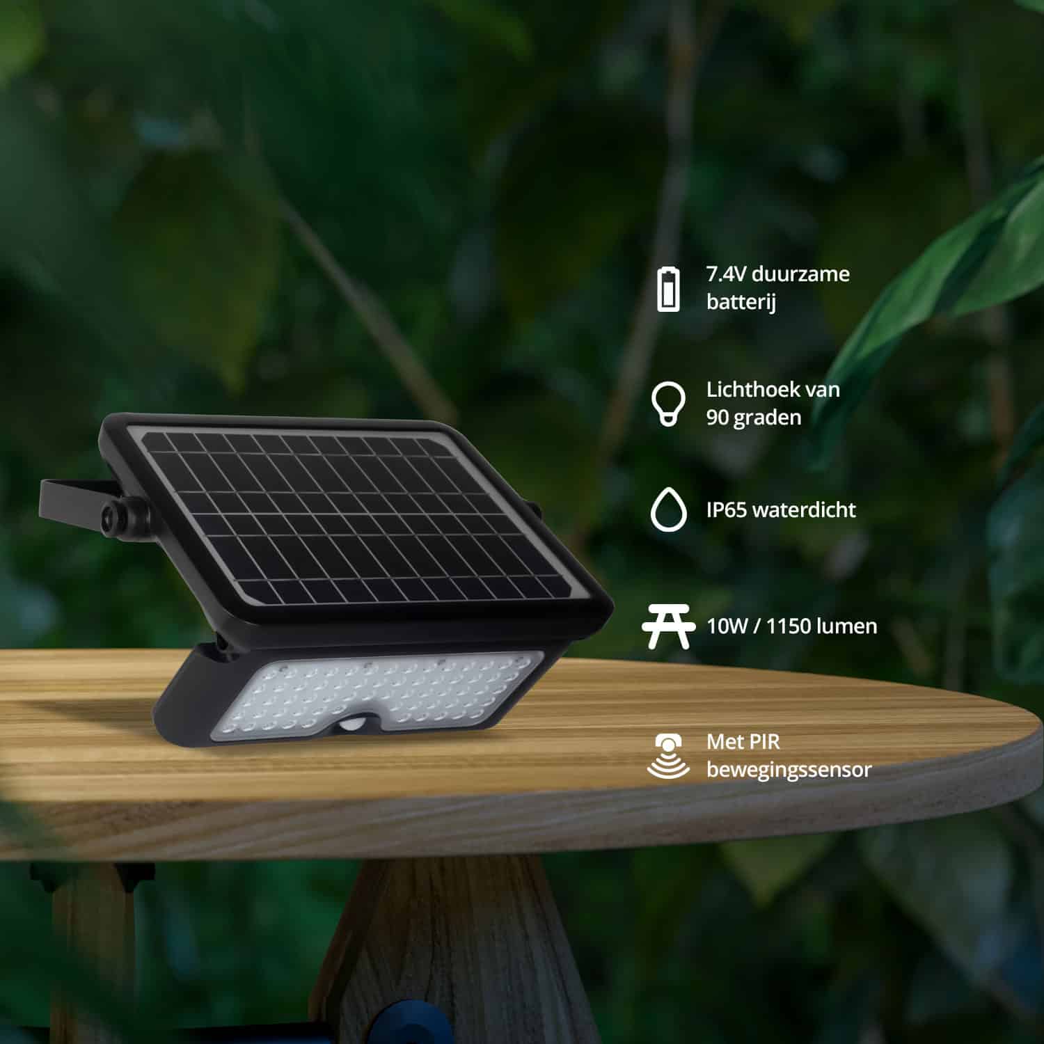 FlinQ - FlinQ Solar LED Floodlight